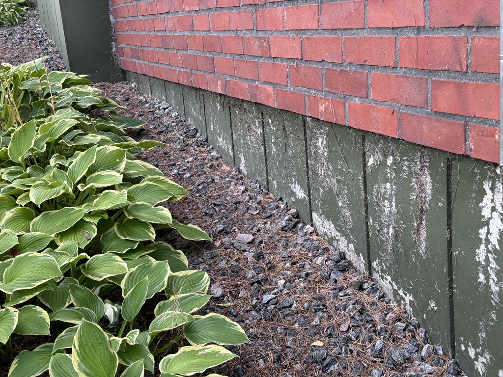 Sokkeli kuntoon – patolevy ja salaojitus tärkeässä roolissa - Omakotiliitto